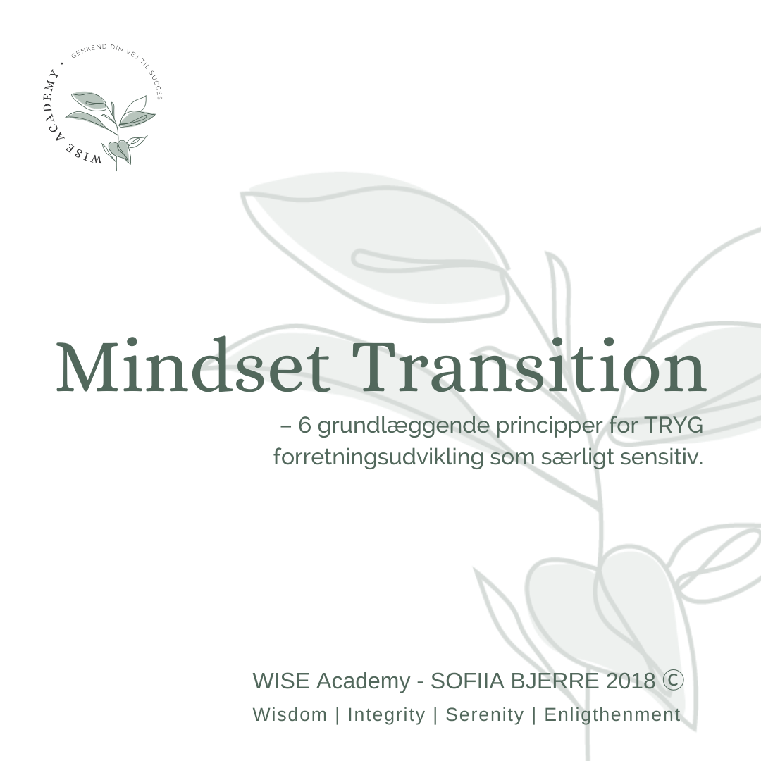 Mindset Transition - Sofiia Bjerre